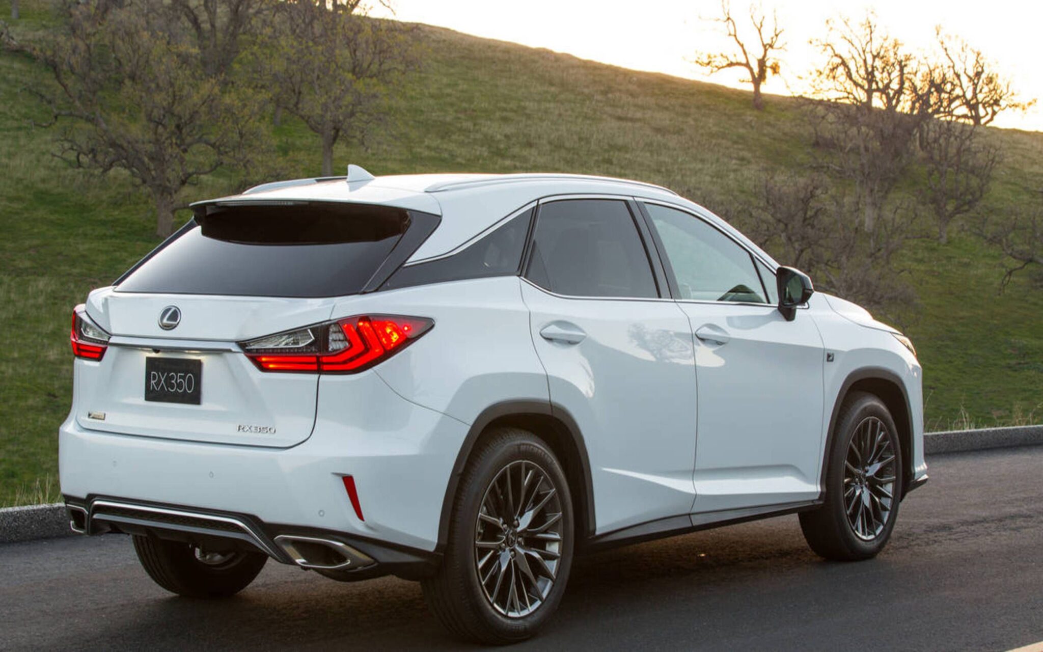 Lexus RX IV (AGL20) • Cinghia o Catena?